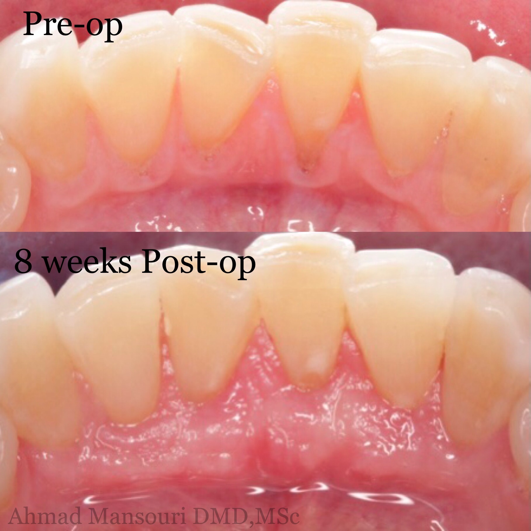 New Page Kitchener ON, TriCity Dental Specialists